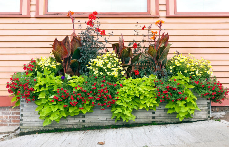 5 Rectangular Planter Box Ideas | Birdies Garden Products